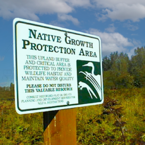 Wetland Resources - Environmental Consulting in the PNW